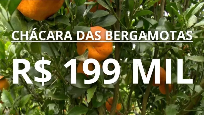 CHÁCARA DAS BERGAMOTAS COM RIACHO, AÇUDE, FIBRA ÓTICA, ÁGUA ENCANADA E ... CHÁCARA DAS BERGAMOTAS COM RIACHO, AÇUDE, FIBRA ÓTICA, ÁGUA ENCANADA E ...